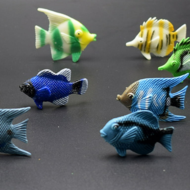 Tropical Marine Fish