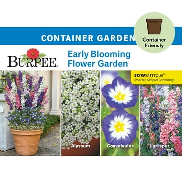 Burpee Trellis & Fence Garden Starter Garden Flower Seed Collection, 1 ...