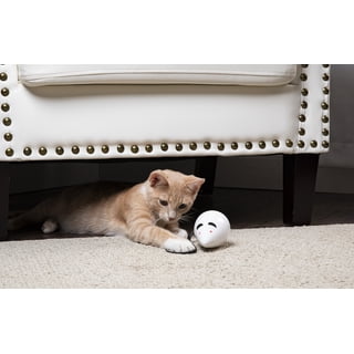 Premier Pet Bolt Automatic Laser Cat Toy - Play and Exercise - Walmart.com