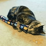 USA Kitty Kick Stick Catnip Kickers - Set of (2) 15" Toys - Walmart.com