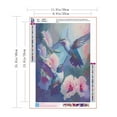 Hummingbird Diamond Painting Kits for Adults - DIY Birds Diamond Art ...