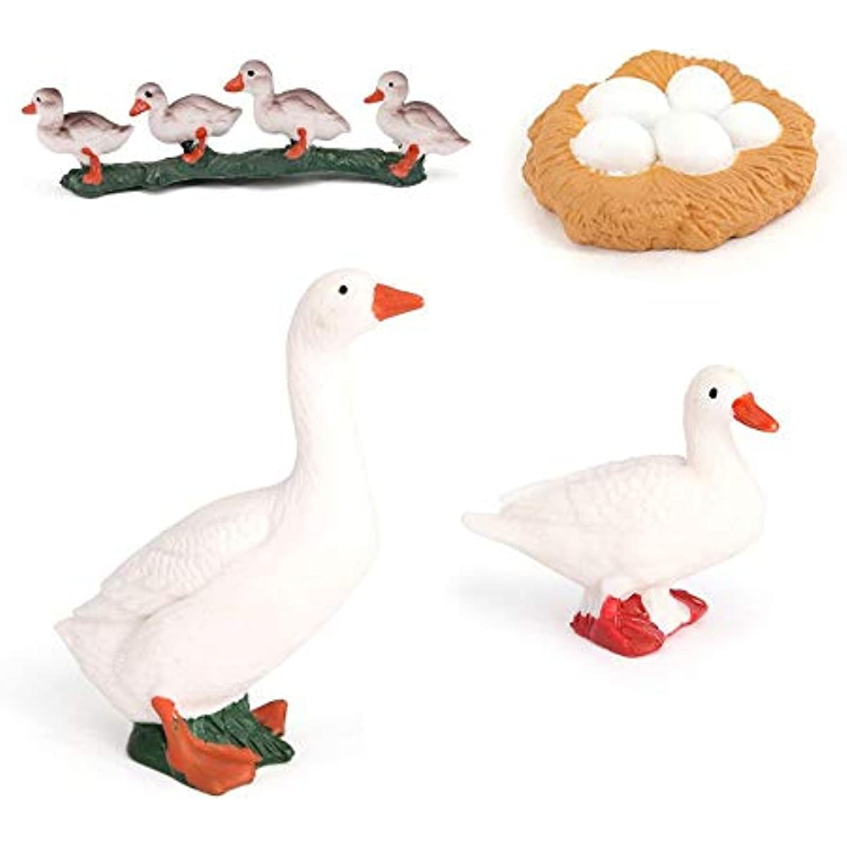 TANG DYNASTY 4PCS Duck Animal Life Cycle,Insect Growth Cycle Model,Hand ...