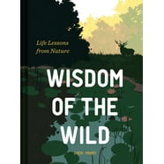 Twelve Wisdom Steps: Unifying Principles of the 12 Steps of A.A. Found ...