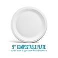Staples Perk Compostable Paper Plates 9" White 250/Pack (PK61287 ...