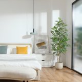 6 ft Faux Moringa Oleifera Tree in Pot, Artificial Horse Radish Tree ...