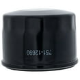 CUB CADET 951-12690 Engine Oil Filter Mini RZT Rider Hydro CC760ES ...