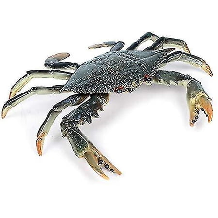 Simulated Sea Life Animals Figurines Realistic Sea Creature Model ...
