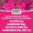 Expert Gardener Azalea, Camellia & Rhododendron Plant Food Fertilizer ...