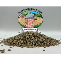 Winter Rye Seeds, 25 Lbs Bulk, Non-GMO - Ideal for Planting, Grass ...