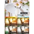 E12 LED Candelabra Bulbs 2W 25W Eqv 250LM 4000K Neutral White, B11 ...