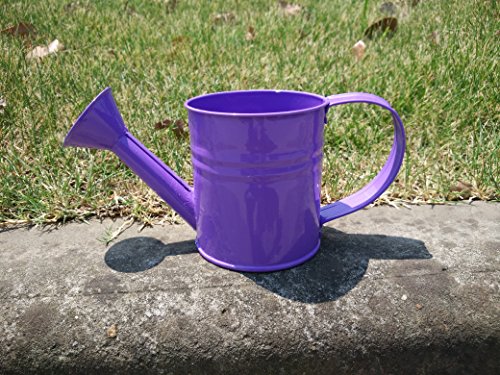 Mini Purple Metal Watering Can 1.2 Liter Manual Colorful Watering Can ...