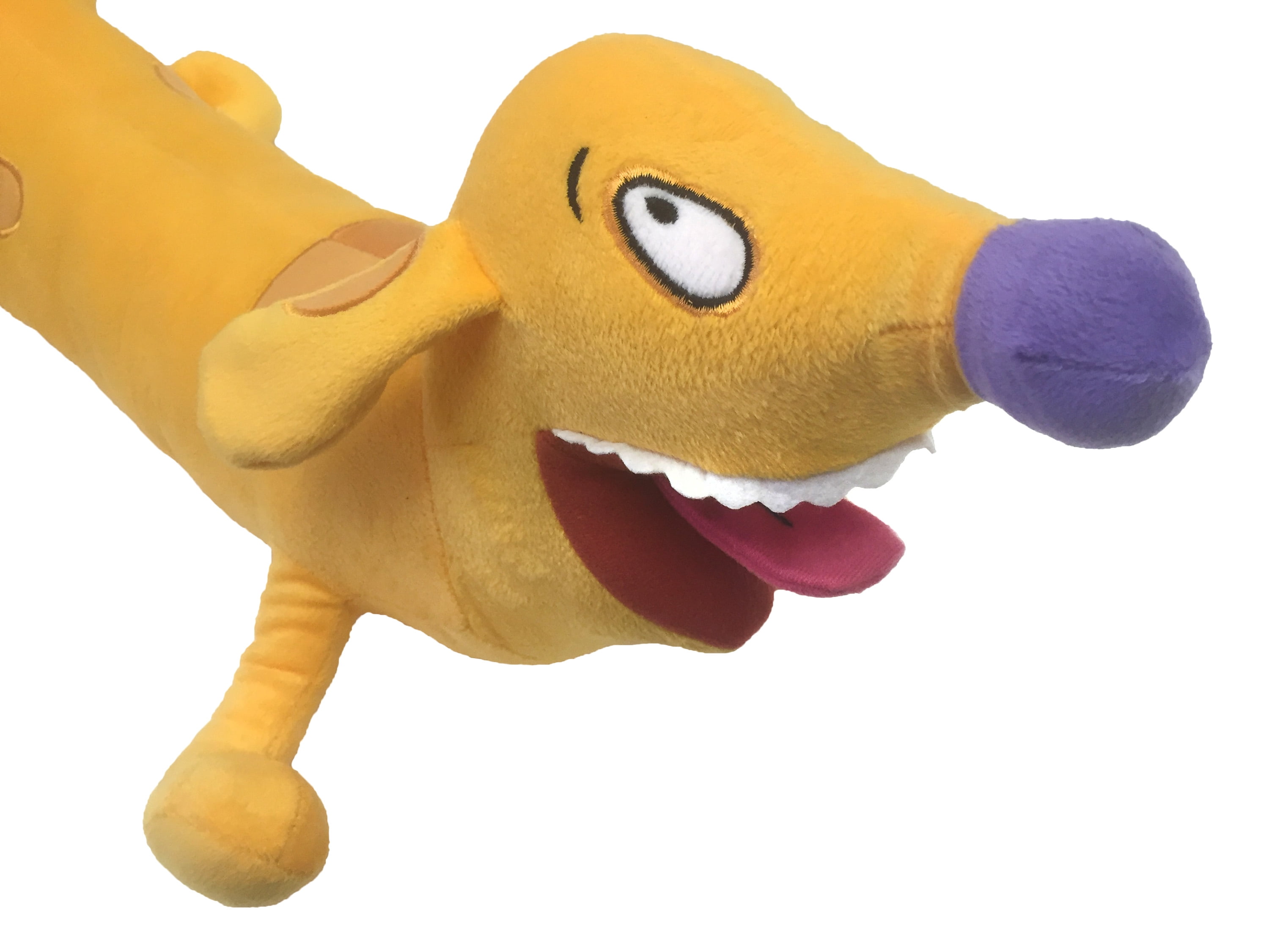 Catdog House Nickelodeon