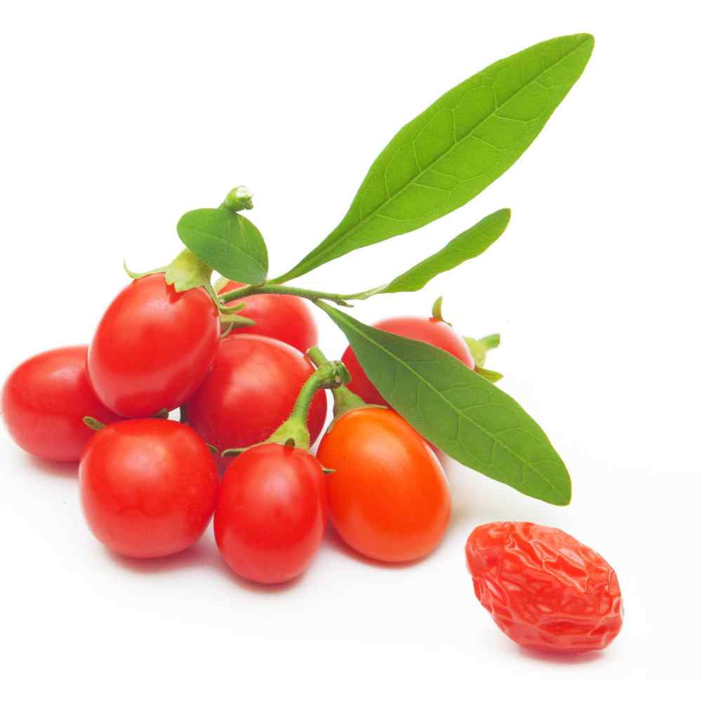 Outsidepride Goji Berry Fruit Plant Seeds - 20 Seeds - Walmart.com