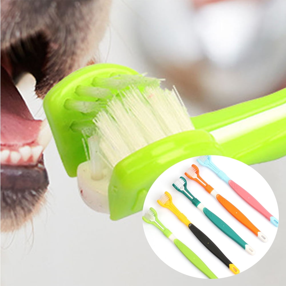 Visland Dog Tooth Brush Canine Toothbrush with non-slip handle and ...