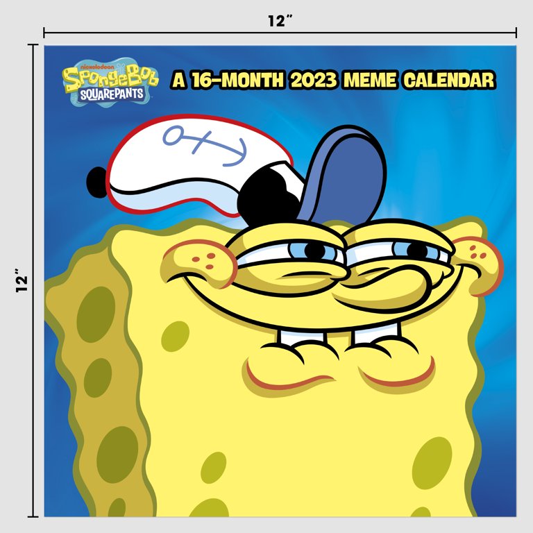 Funny Spongebob Pictures With Words