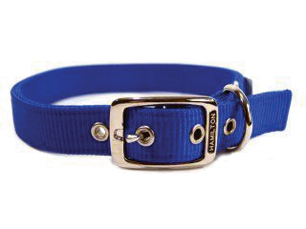 Hamilton 1" Double Thick Nylon Deluxe Dog Collar, 24" long, Blue ...