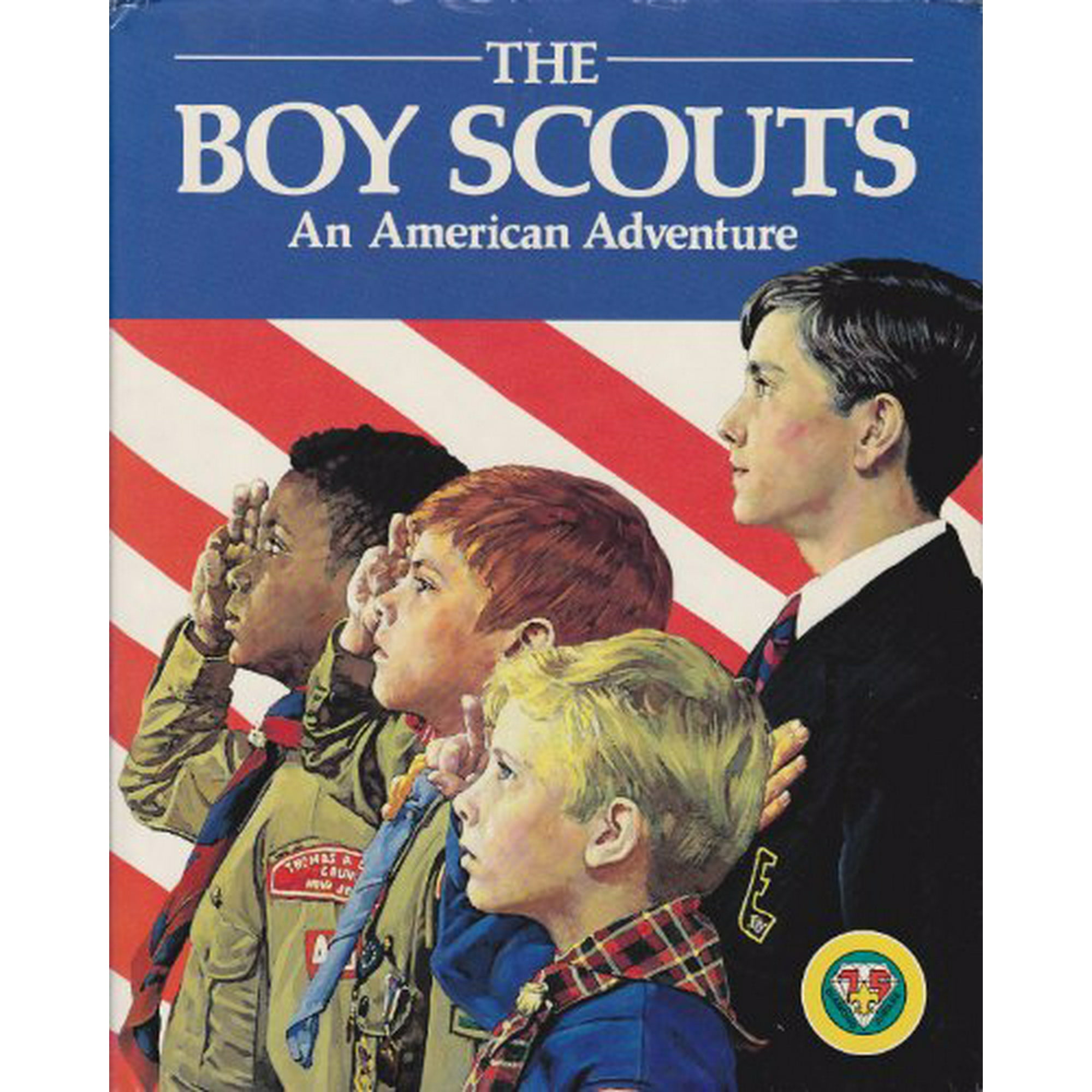 Used Boy Scout Books