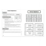 Carson-Dellosa Grade 3 Science Interactive Notebook Interactive Printed ...