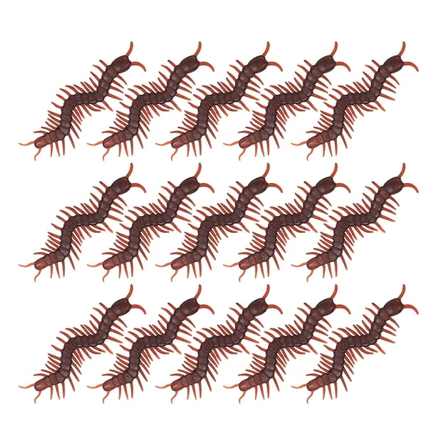 Centipede