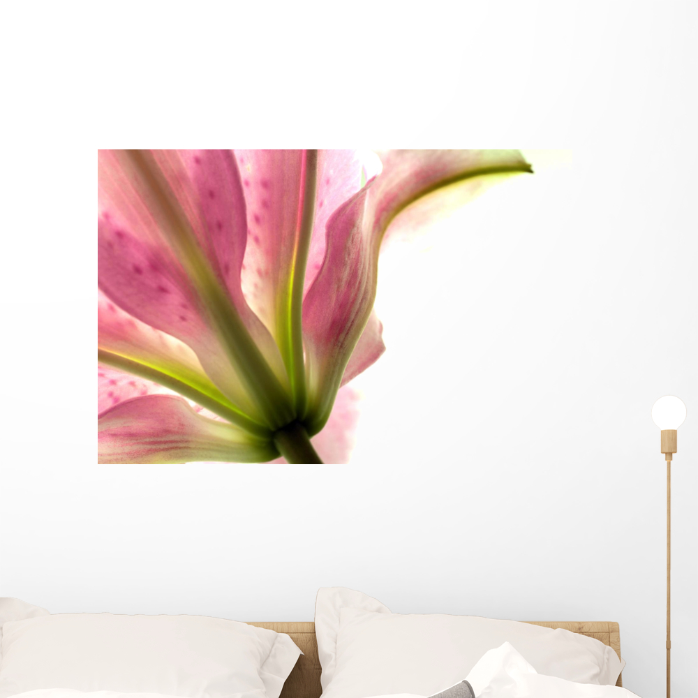 Tiger Lilly Wall Mural Decal by Wallmonkeys Vinyl Peel and Stick ...