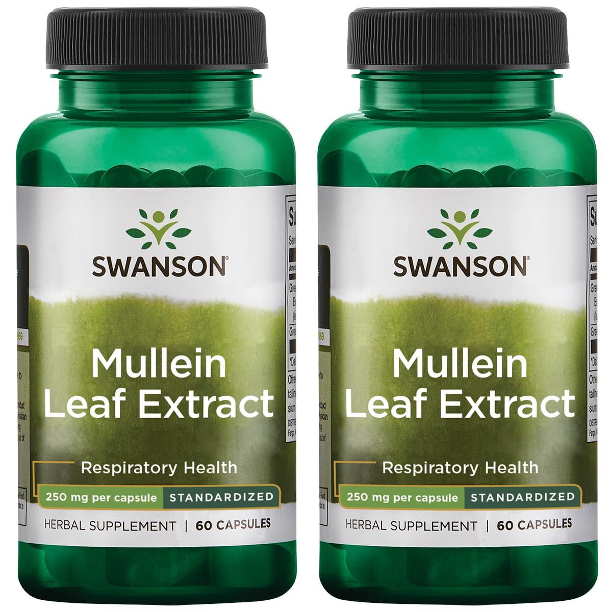 Swanson Mullein Leaf Extract - Standardized 250 mg 60 Caps 2 Pack ...