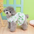Cute Spring Summer Dog Outfit for Small Dogs - Stylish Two-Legged ...