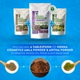 Henna Cosmetics Amla Powder Without Seeds (100 Grams) Hair and Skin ...