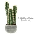 Pure Garden Faux Potted Cactus Plant, 22-inch Artificial Hedge Cacti ...
