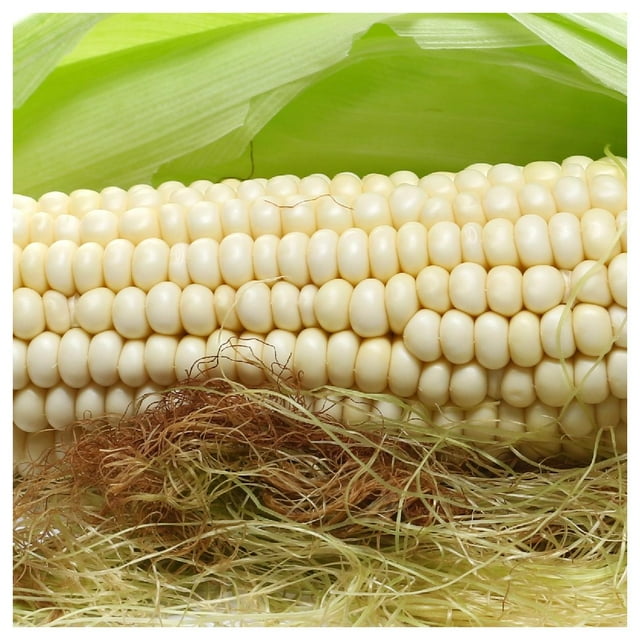 Everwilde Farms - 1 lb Country Gentlman Sweet Corn Seeds - Gold Vault ...