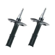 Oldsmobile 88 Suspension Strut Assembly