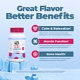 (2 pack) MaryRuth's Sugar-Free Calm Kids Magnesium Citrate Gummies 60ct ...