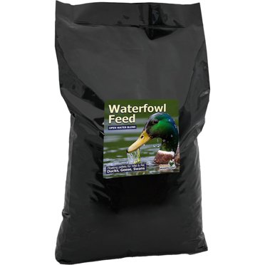Wardley Pond Stix Koi and Pond Fish Food, 3 lbs - Walmart.com