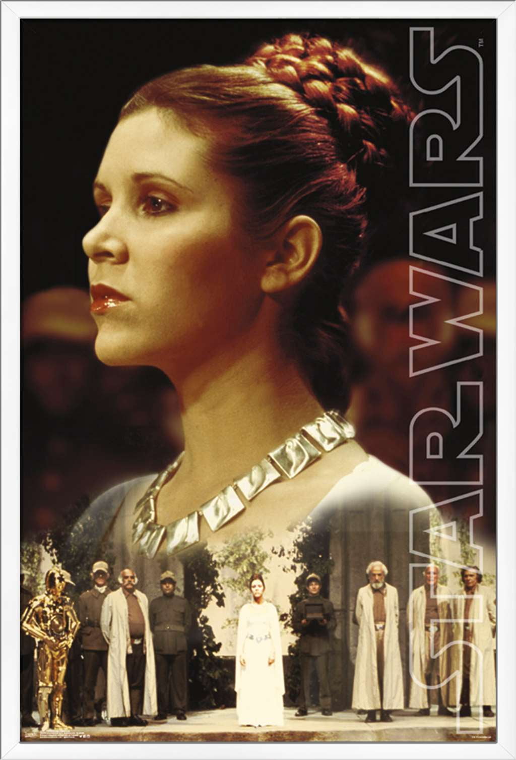 Star Wars: Saga - Princess Leia - Ceremony Wall Poster, 22.375" x 34 ...
