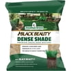 Jonathan Green Black Beauty Heavy Traffic Grass Seed, Cool Season Lawn ...