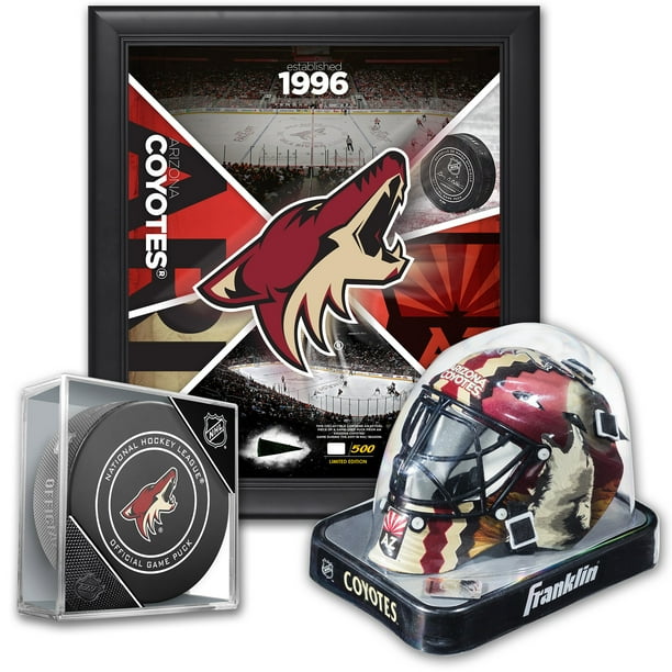 Arizona Coyotes Goal Pucks
