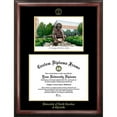 Baylor University 11 x 14 Gold Embossed Diploma Frame - Walmart.com