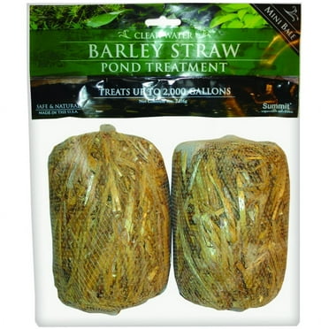 Beckett 1000 Gallon Barley Straw Bales Natural Filtration For Clean ...