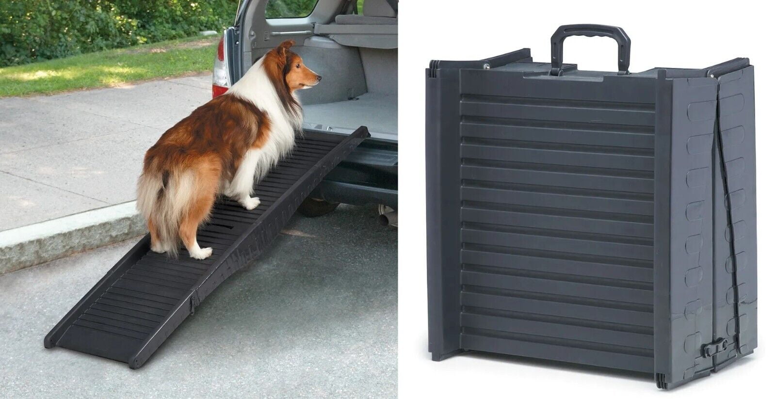 Ramps and Steps for Aging Dogs That Need Assistance - Pets with Limited ...