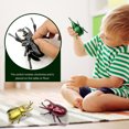 ZAROYEAX Classic Clockwork Wind Up Beetle Toys Realistic Insect Figures ...
