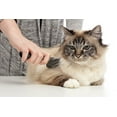 JW Pet Company GripSoft Cat Slicker Brush, Small 65033 - Walmart.com