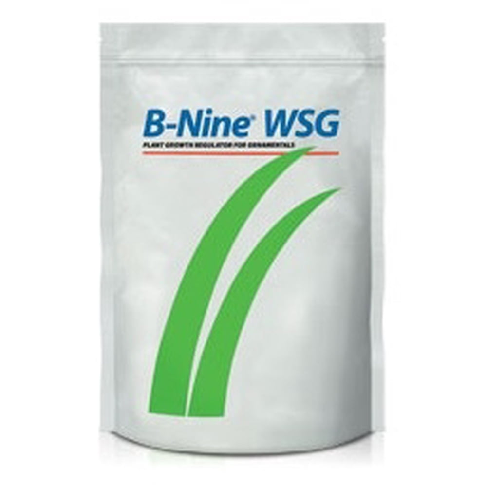 B-Nine WSG Plant Growth Regulator - 1 Lb. - Walmart.com - Walmart.com