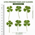 108 Pcs Four Leaf Clover Pressed Flowers, Natural Dried Green Plants ...