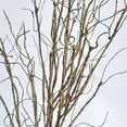 1PC Artificial Dry Tree Branch Lifelike Curly Willow Branches ...