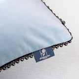 Phantoscope Particles Trimmed Soft Velvet Throw Pillow, 18" x 18 ...