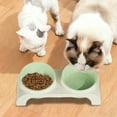 C Double Bowl Slanted Pet Dish, Anti-Slip Elevated Dog Cat Bowl For ...