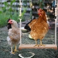 QBLEEV Chicken Swing Toy for Coop Natural Safe Wooden Accessories Large ...