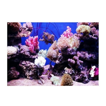 Aquarium Background Poster Fish Tank Decoration Landscape - Multicolor ...