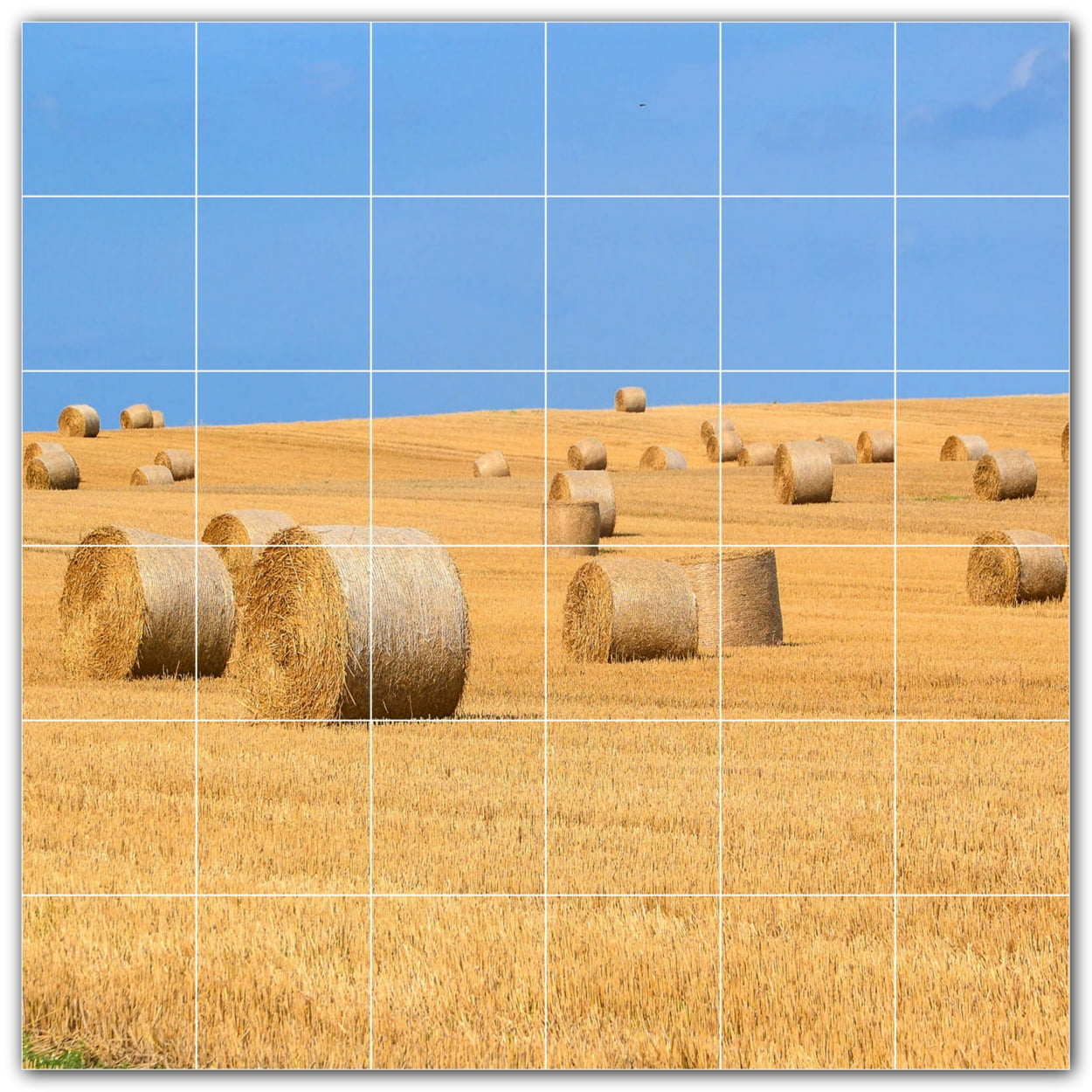 Picture-Tiles.com: Farm Ceramic Tile Wall Mural WAL500594-66L. 48"W x ...
