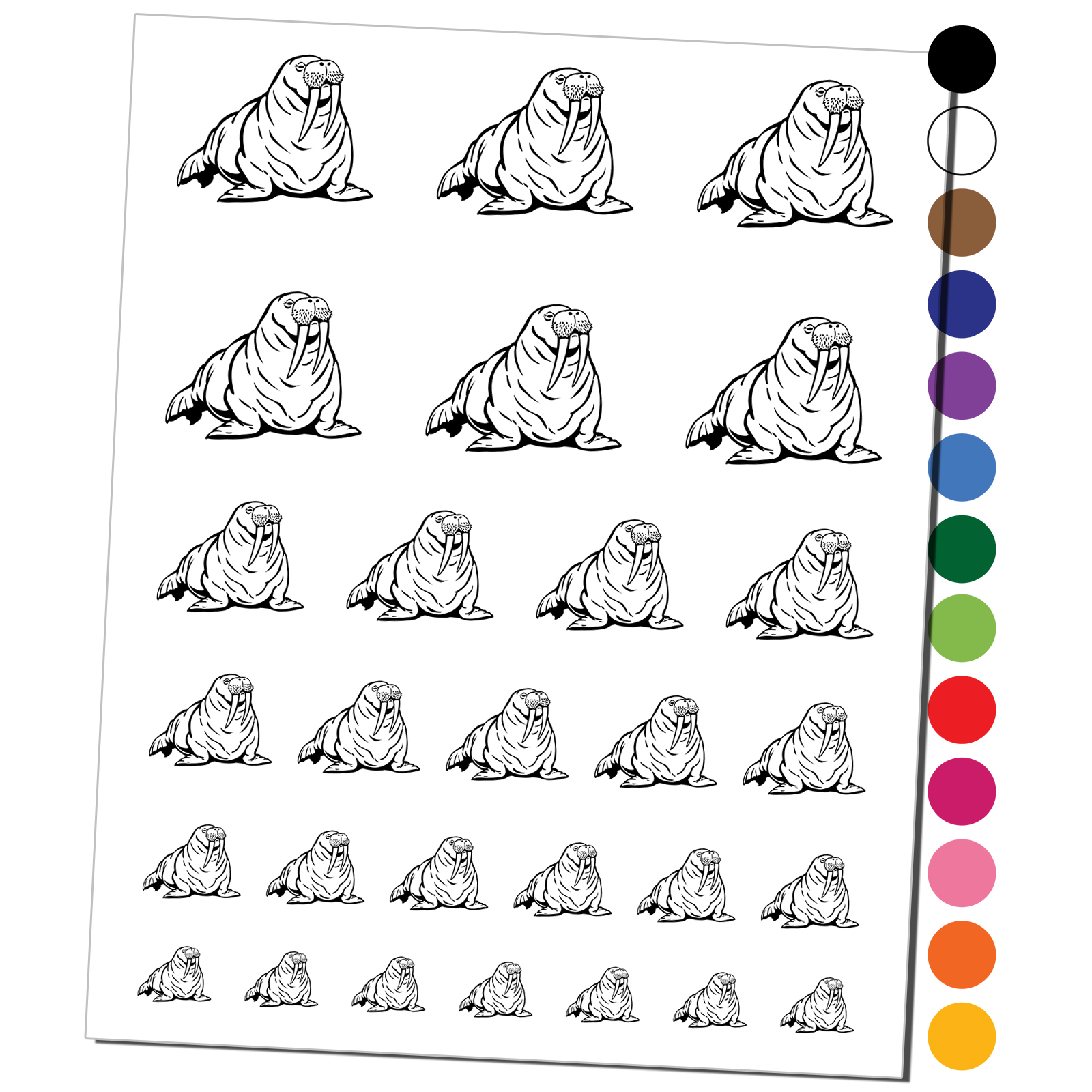 Chubby Pacific Walrus Water Resistant Temporary Tattoo Set Fake Body ...