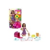 Barbie Kitty Condo Playset with Brunette Fashion Doll, 4 Kittens, Cat ...
